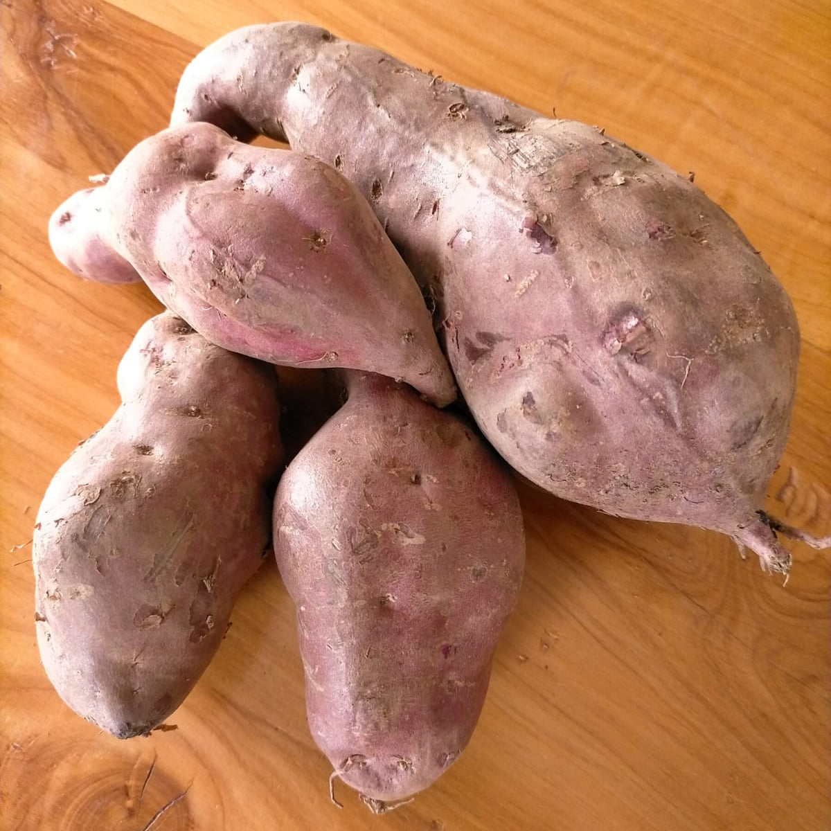 Kumara Red 500g – Untamed Earth Organic Farm