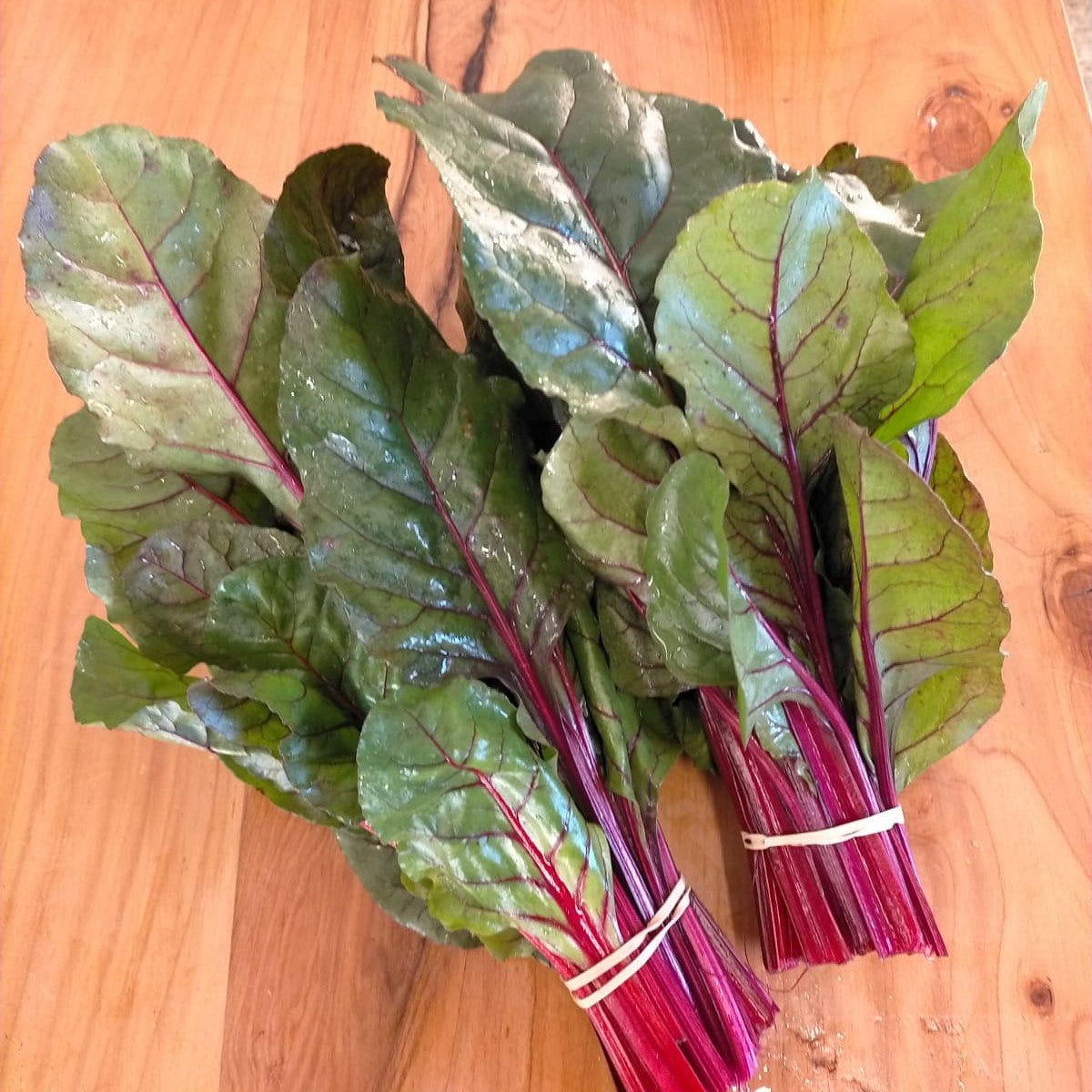 Red Chard Bunch – Untamed Earth Organic Farm