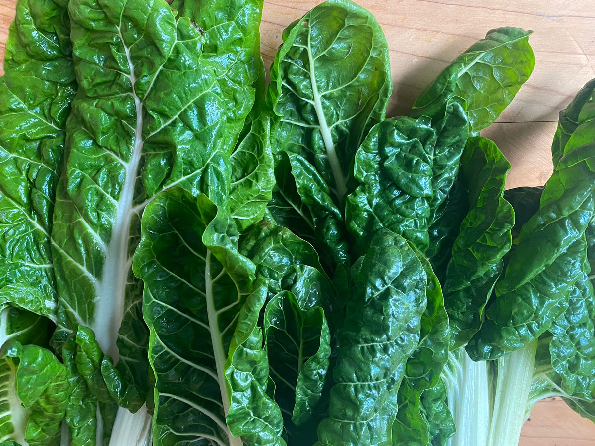 Silverbeet Bunch – Untamed Earth Organic Farm